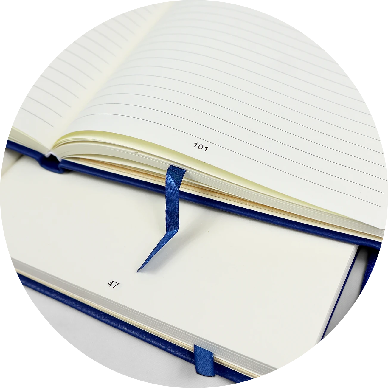 The Curious Book | Luxury A5 Branded Notebooks